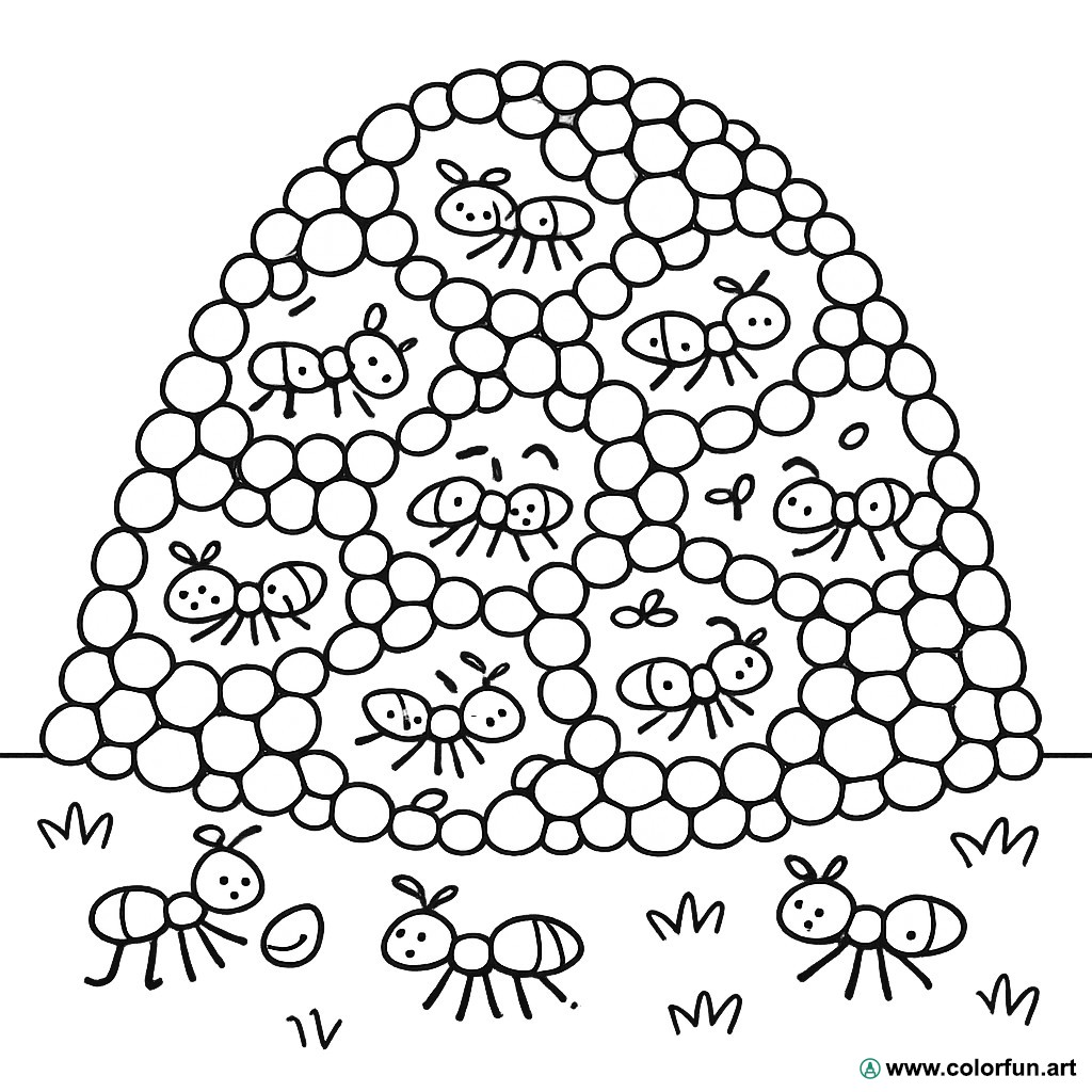 Disegno da colorare di un formicaio Scarica o Stampa gratuitamente