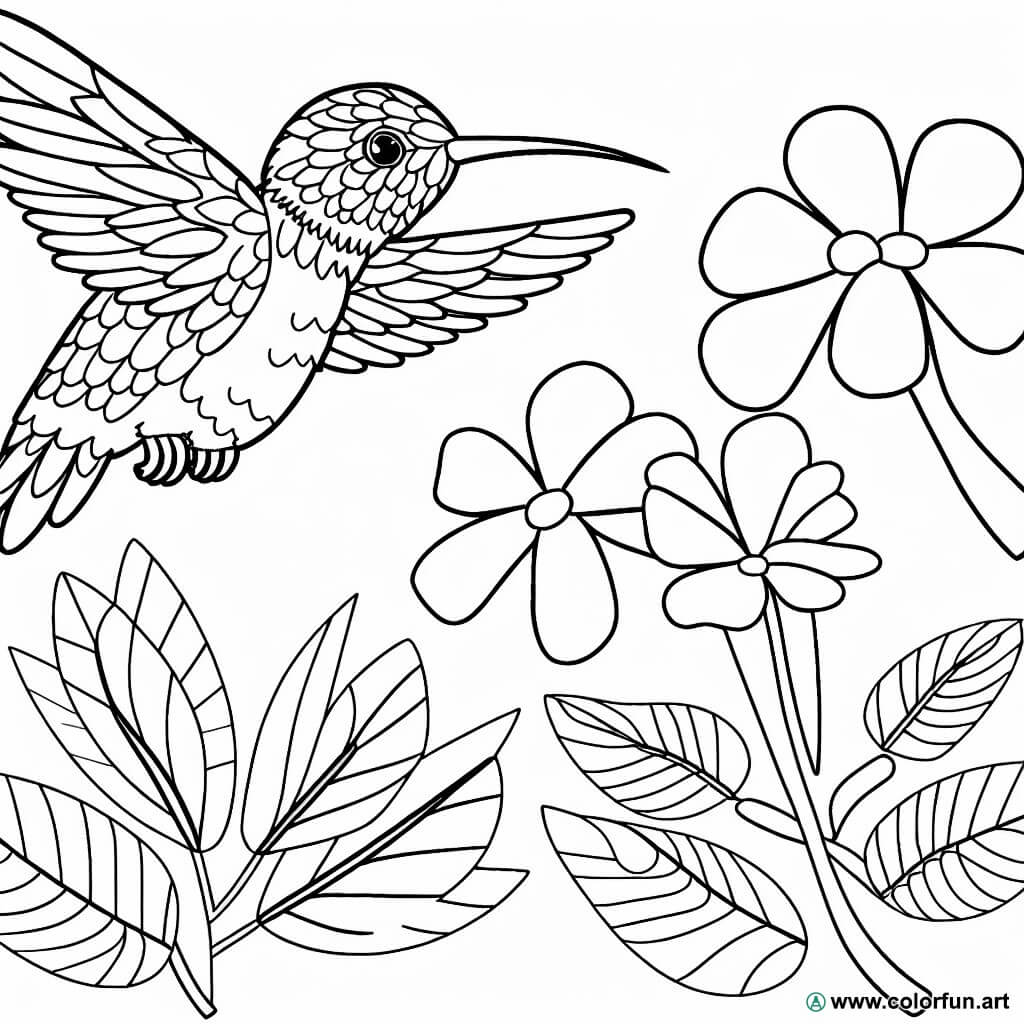 Disegno da colorare di un colibrì per la scuola materna Scarica o ...
