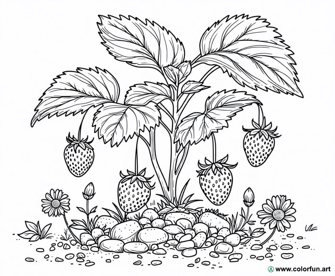 Disegno da colorare di fragola da stampare Scarica o Stampa gratuitamente